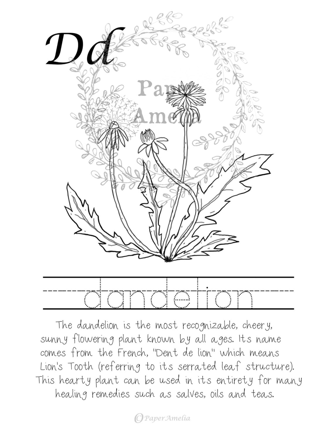 D is for Dandelion Nature Alphabet Page-digital Download-nature ...