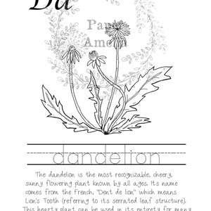 D is for Dandelion Nature Alphabet Page-digital Download-nature ...