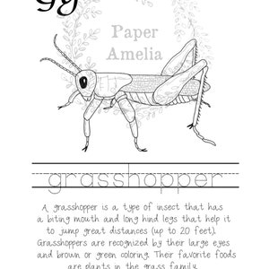 G is for Grasshopper Nature Alphabet Page-digital Download-nature ...