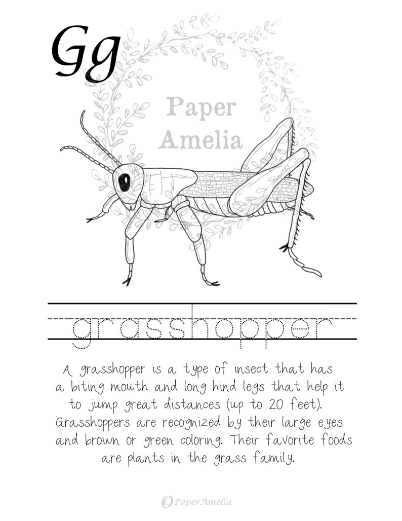 G is for Grasshopper Nature Alphabet Page-digital Download-nature ...