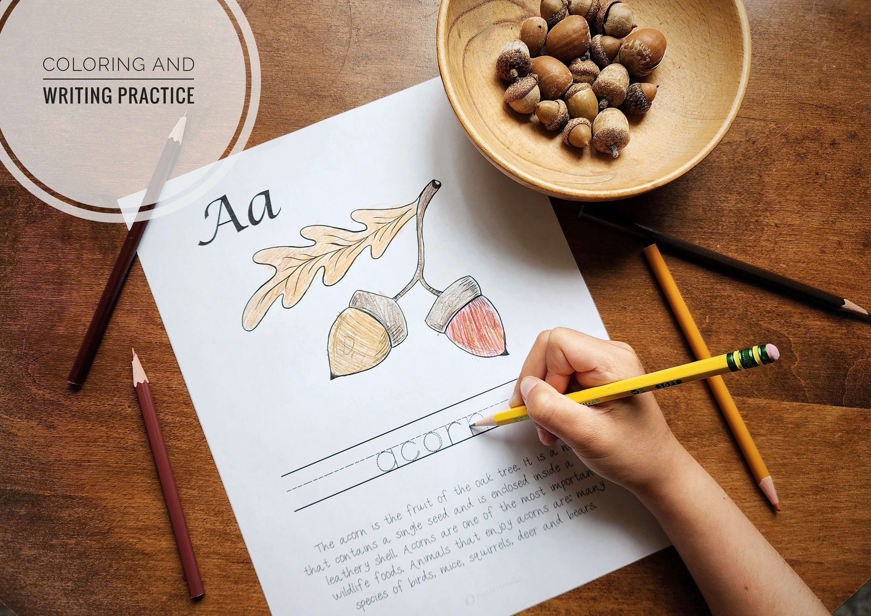 My Nature Alphabet Book- DIGITAL DOWNLOAD- Nature Inspired Coloring ...