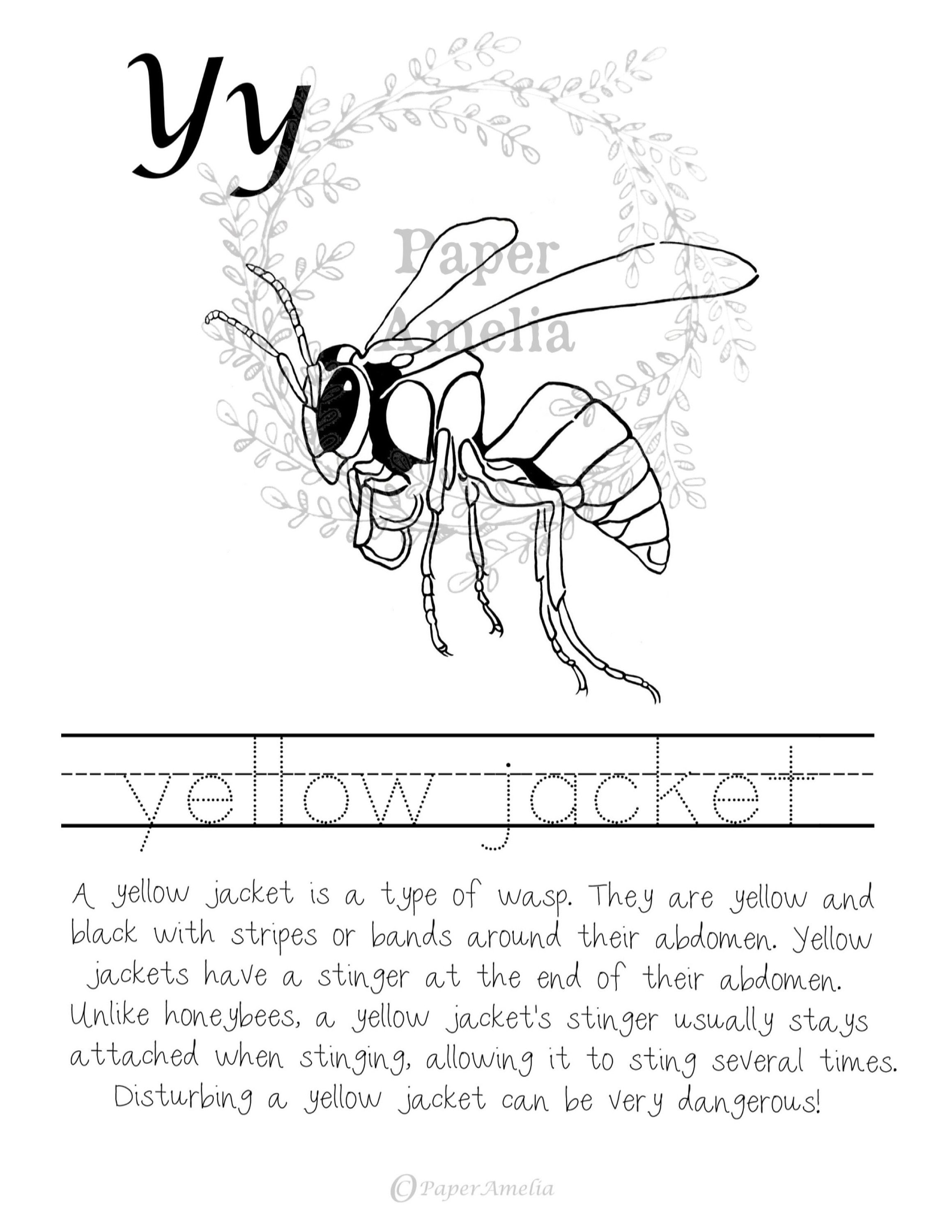 Y is for Yellow Jacket Nature Alphabet Page-digital Download-nature ...