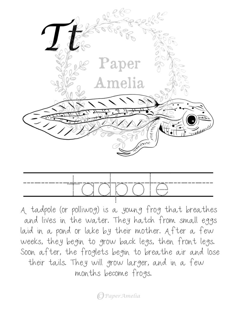 T is for Tadpole Nature Alphabet Page-digital Download-nature Inspired ...