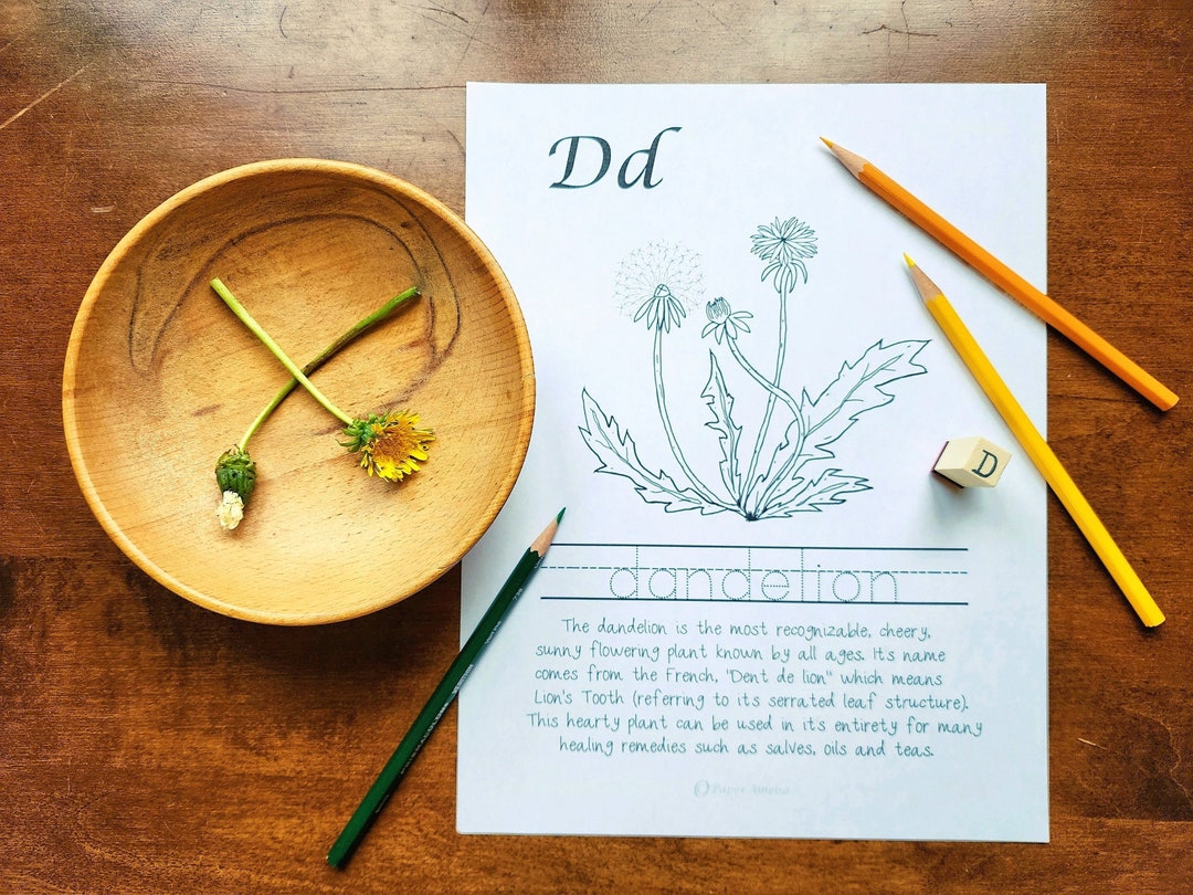D is for Dandelion Nature Alphabet Page-digital Download-nature ...