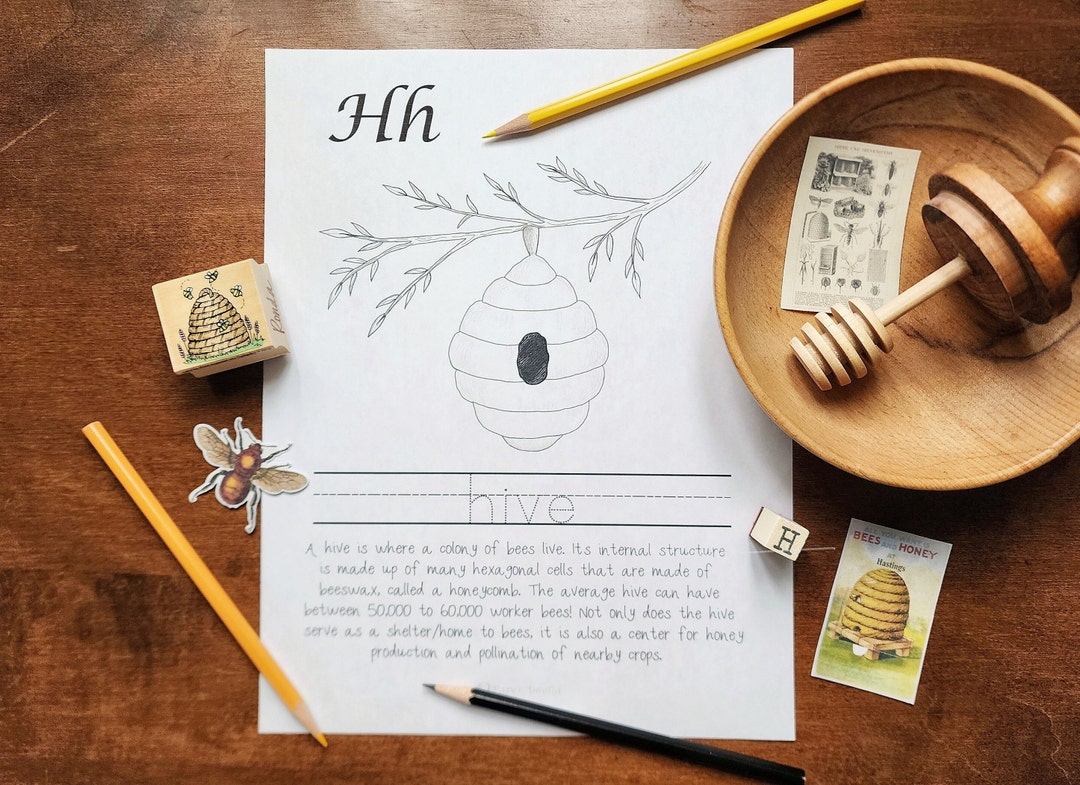 H is for Hive Nature Alphabet Page-digital Download-nature Inspired ...
