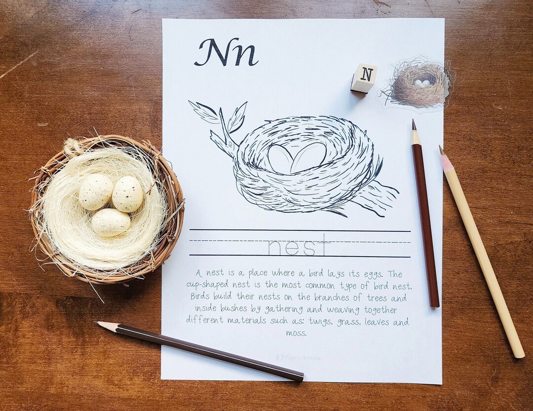 N is for Nest Nature Alphabet Page-digital Download-nature Inspired ...