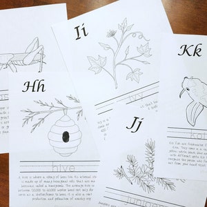 My Nature Alphabet Book- DIGITAL DOWNLOAD- Nature Inspired Coloring ...