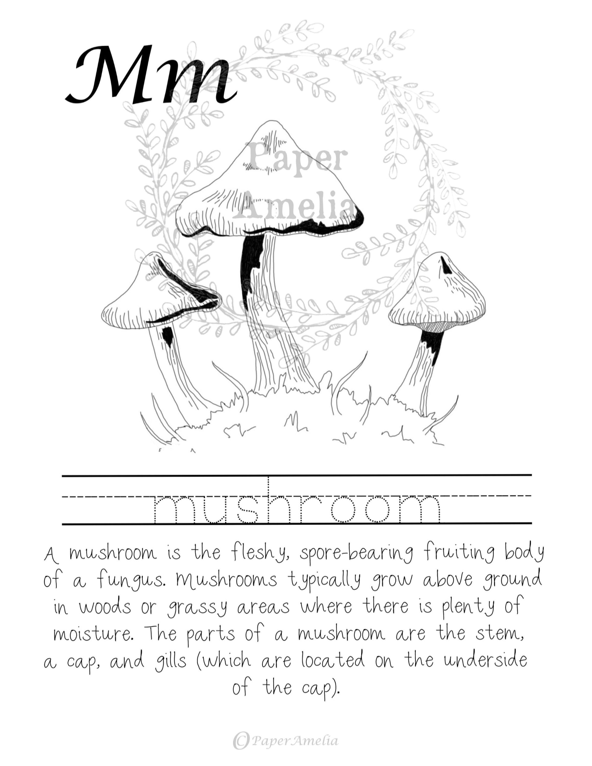 M is for Mushroom Nature Alphabet Page-digital Download-nature Inspired ...