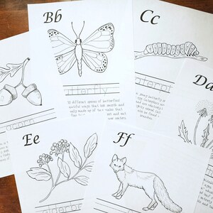 My Nature Alphabet Book- DIGITAL DOWNLOAD- Nature Inspired Coloring ...