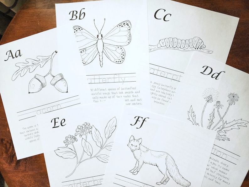 My Nature Alphabet Book- DIGITAL DOWNLOAD- Nature Inspired Coloring ...