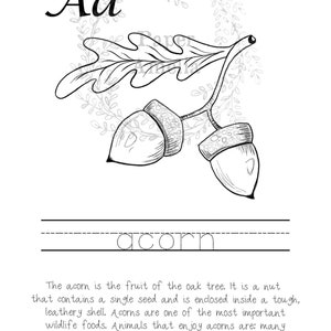 A is for Acorn Nature Alphabet Page- DIGITAL DOWNLOAD- Nature Inspired ...