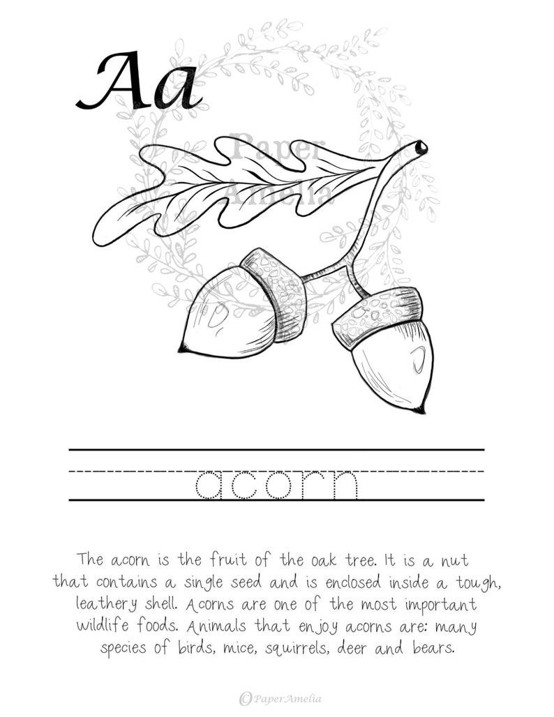 A is for Acorn Nature Alphabet Page- DIGITAL DOWNLOAD- Nature Inspired ...