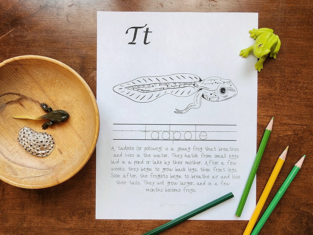 T is for Tadpole Nature Alphabet Page-digital Download-nature Inspired ...