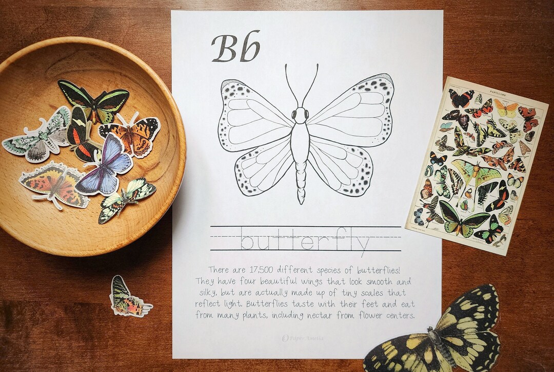 B is for Butterfly Nature Alphabet Page-digital Download-nature ...