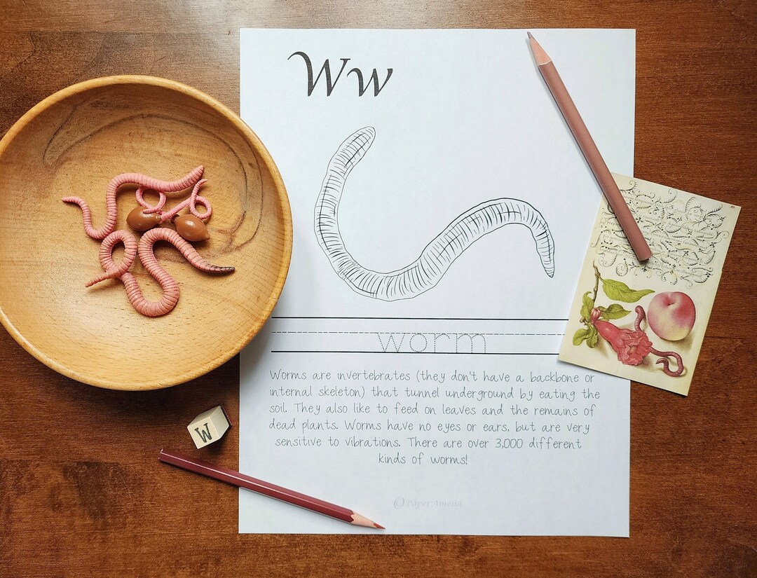 W is for Worm Nature Alphabet Page-digital Download-nature Inspired ...