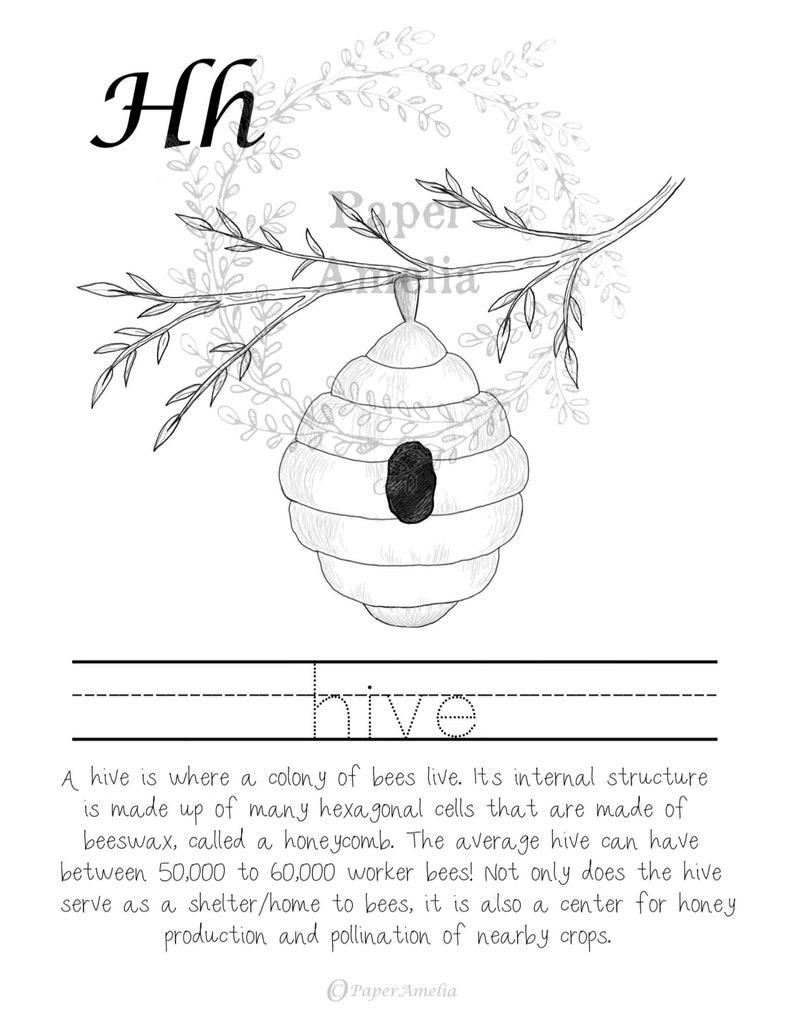 H is for Hive Nature Alphabet Page-digital Download-nature Inspired ...