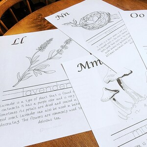 My Nature Alphabet Book- DIGITAL DOWNLOAD- Nature Inspired Coloring ...