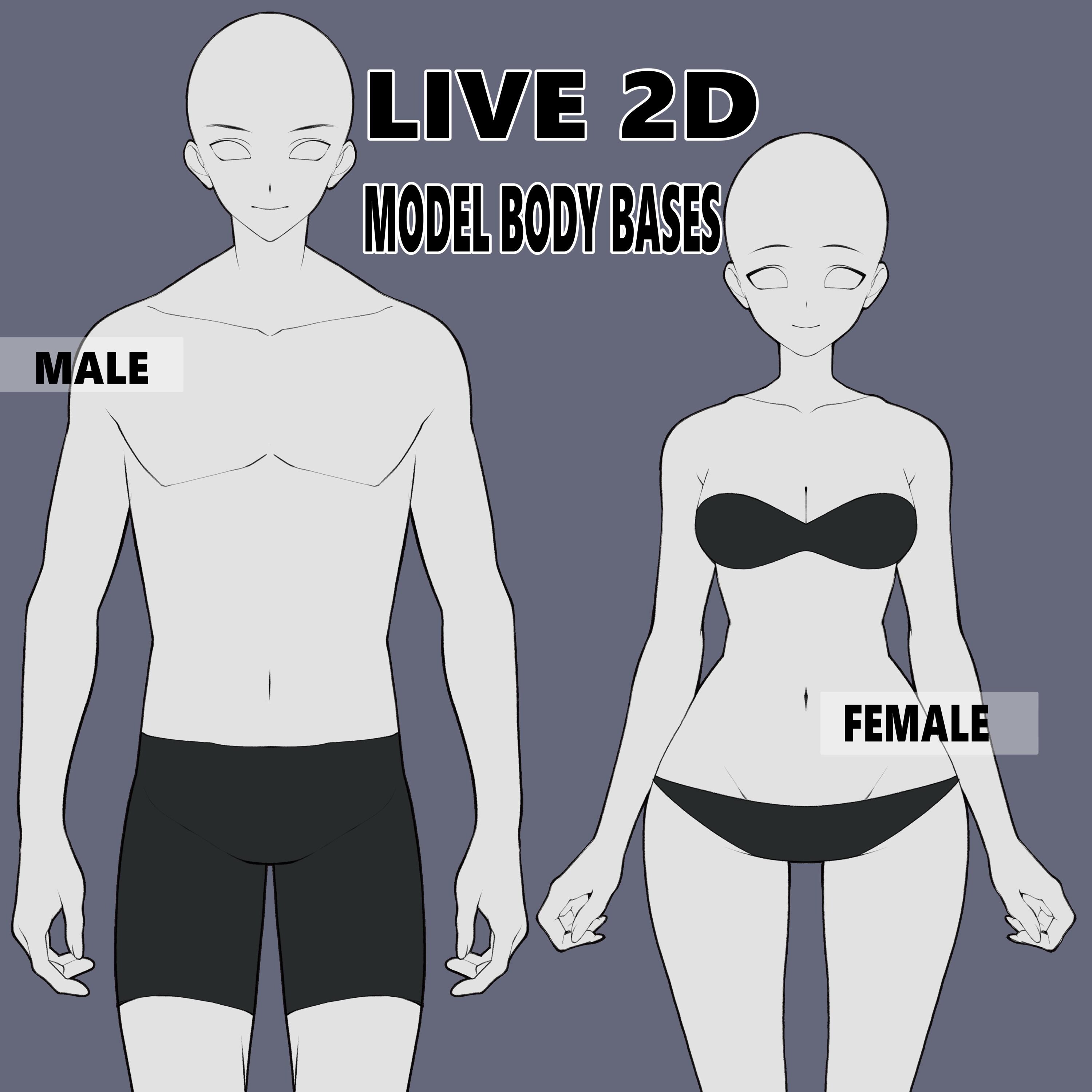 Live 2D Model Bases - Vtuber Customizable - Etsy
