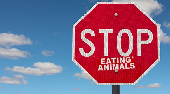 STOP EATING ANIMALS Novelty Activism Sticker | Etsy