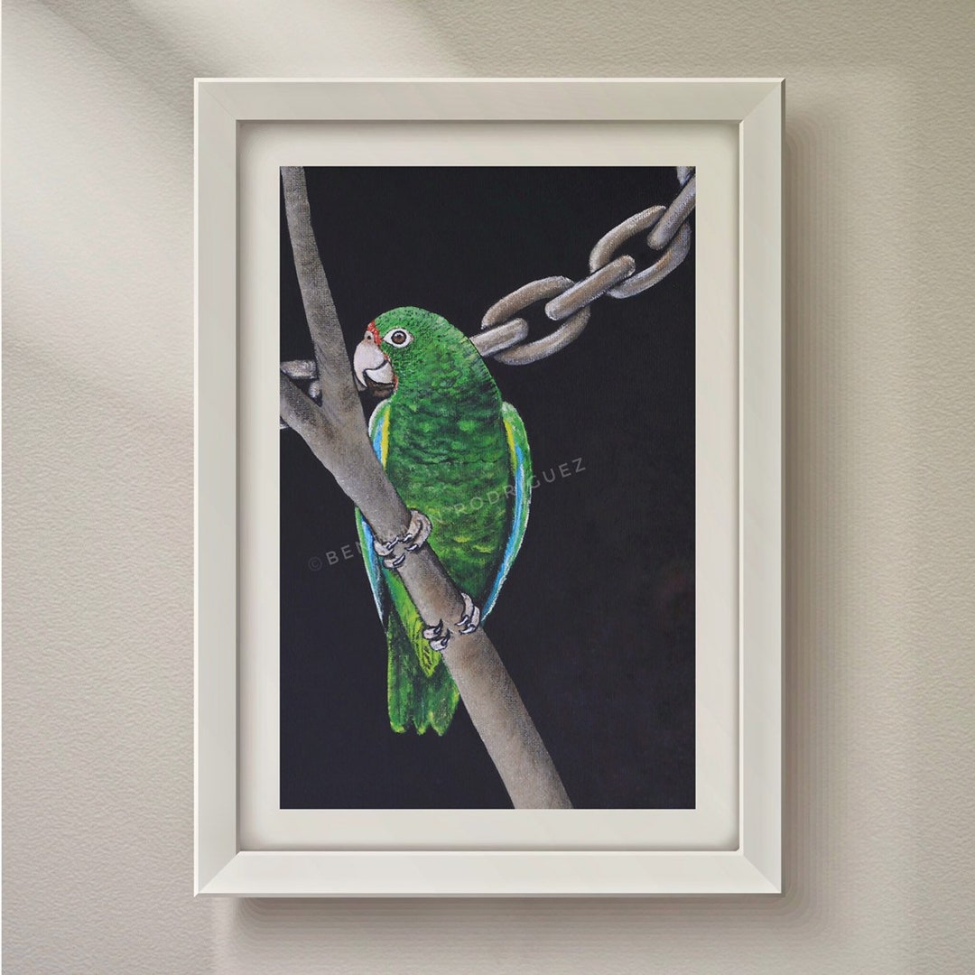 La Cotorrita Puertorriqueña - Etsy