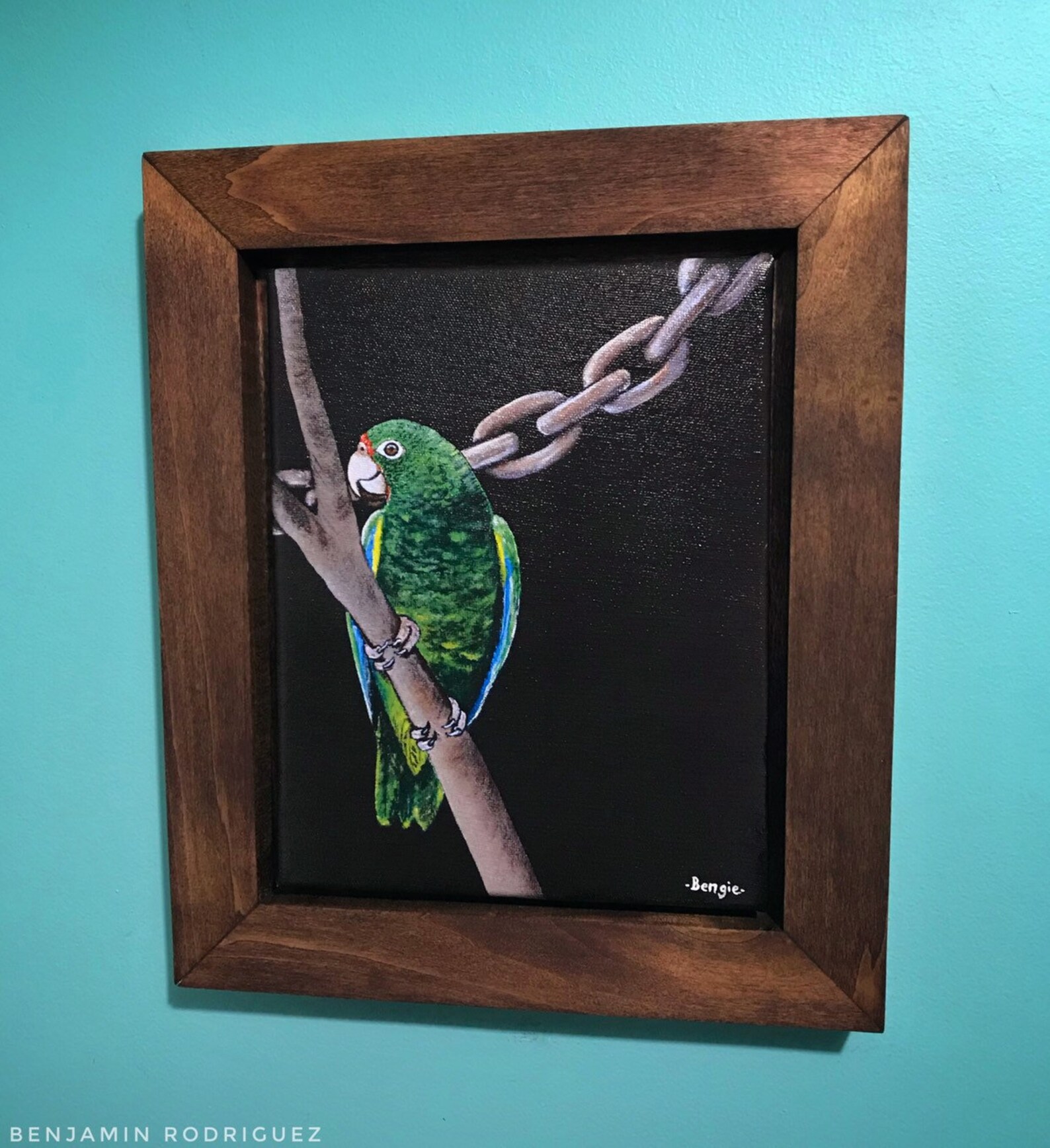 La Cotorrita Puertorriqueña - Etsy