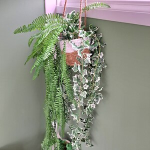 Artificial Trailing Fern and Ivy in Hanging Basket - Etsy