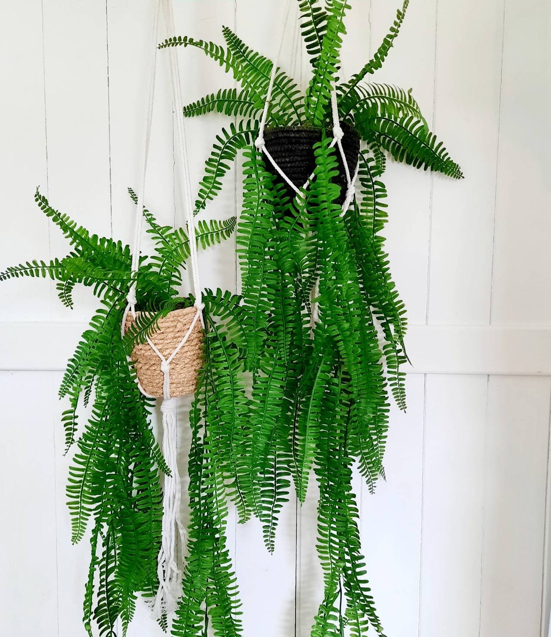 Trailing Fern Plant in a Hanging Basket Artificial Plant - Etsy