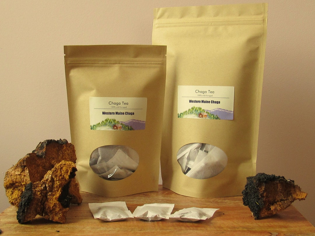 Wild-foraged Maine Chaga Tea Bags, Natural Dried Mushrooms - Etsy