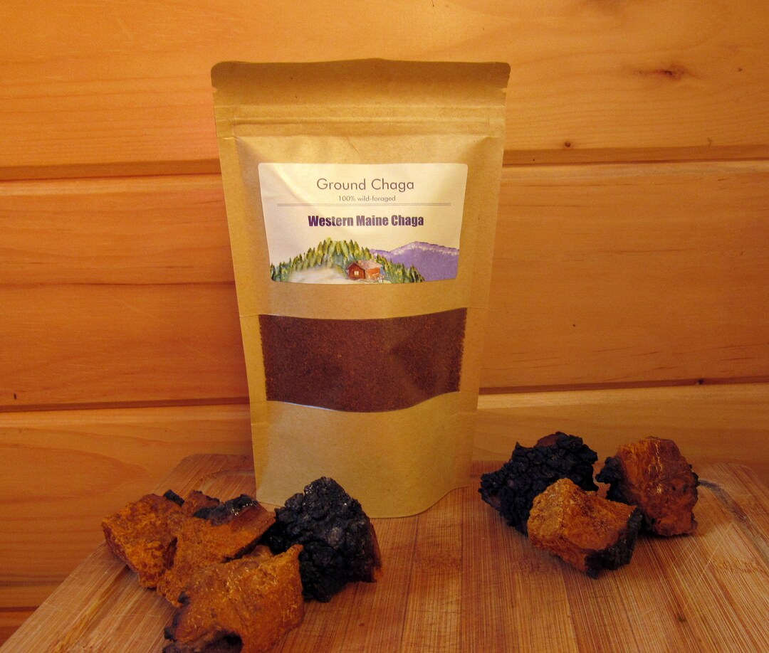 Wild-foraged Ground Chaga Mushroom Tea, Maine Chaga - Etsy