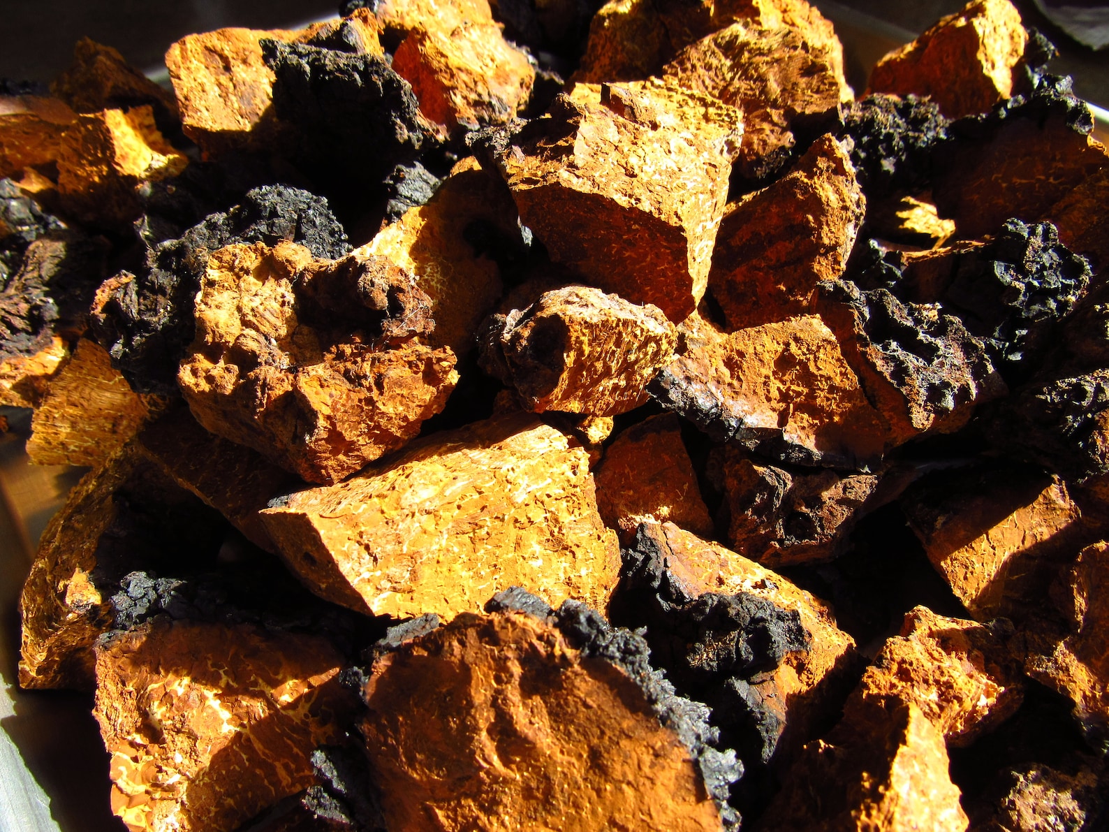 Chaga Mushroom Chunks 1lb Wild-foraged Naturally Dried - Etsy