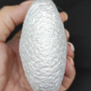 Oval Foam Disc 8 - 9 Cm (3" - 3.54") by 4.5cm (1.75"), Styrofoam Super ...