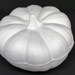 Large Polystyrene Pumpkin in Sets of Two Styrofoam Pumpkin - Etsy