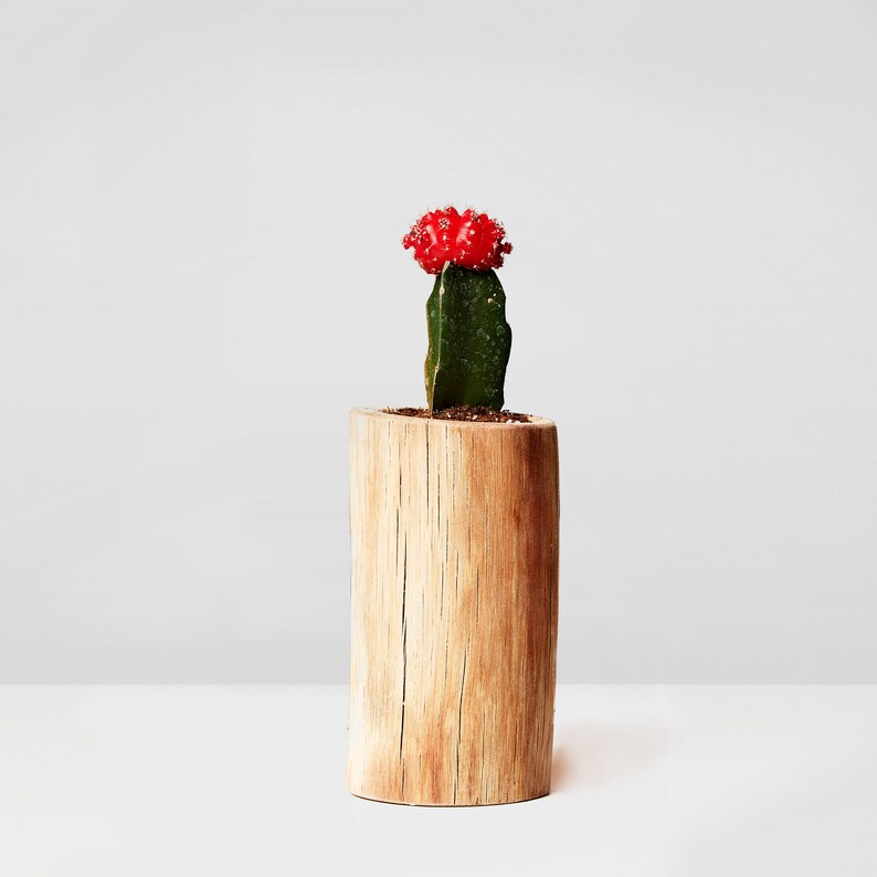 Mini Cactus Planter SET Succulent Planter Rustic Plant - Etsy