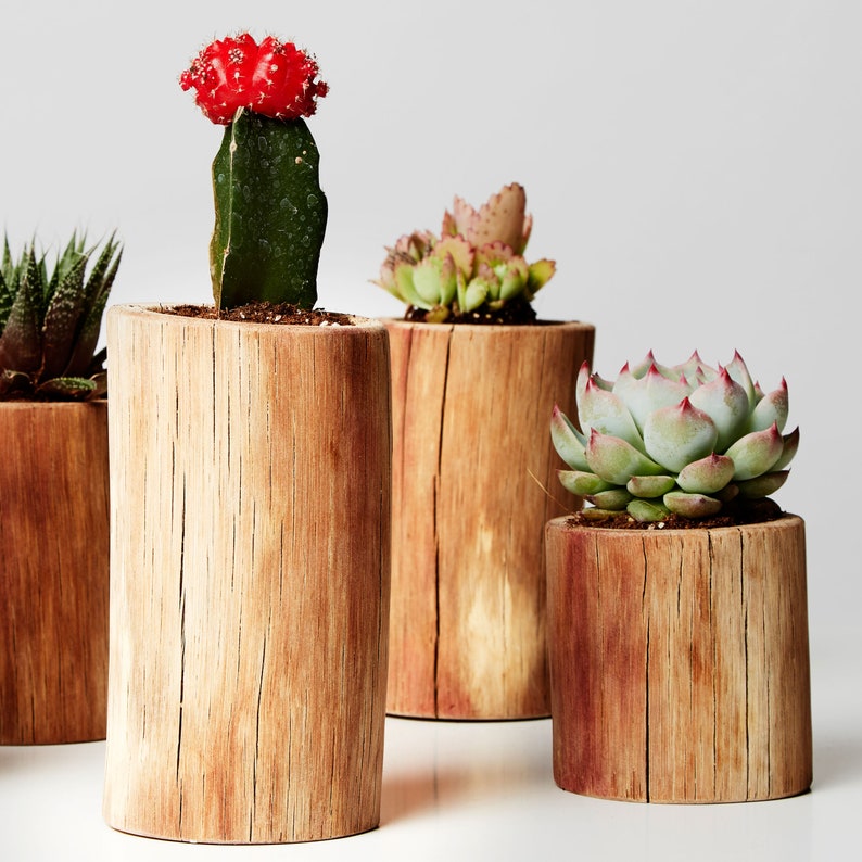 Mini Cactus Planter SET Succulent Planter Rustic Plant | Etsy