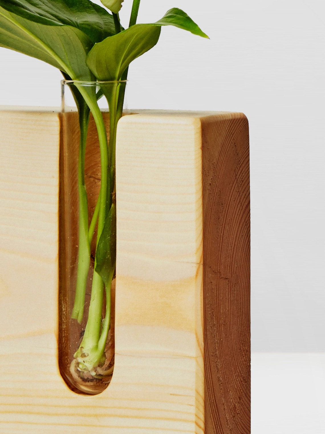 Test Tube Plant Pot Home Office Farmhouse Decor Indoor | Etsy