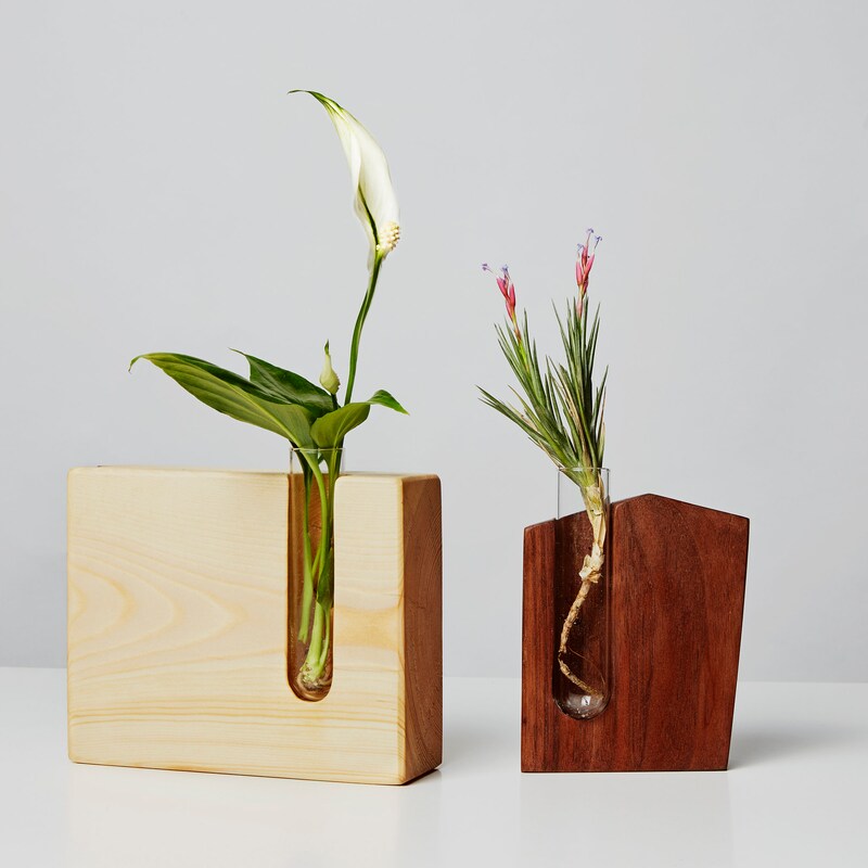 Test Tube Planter - Etsy