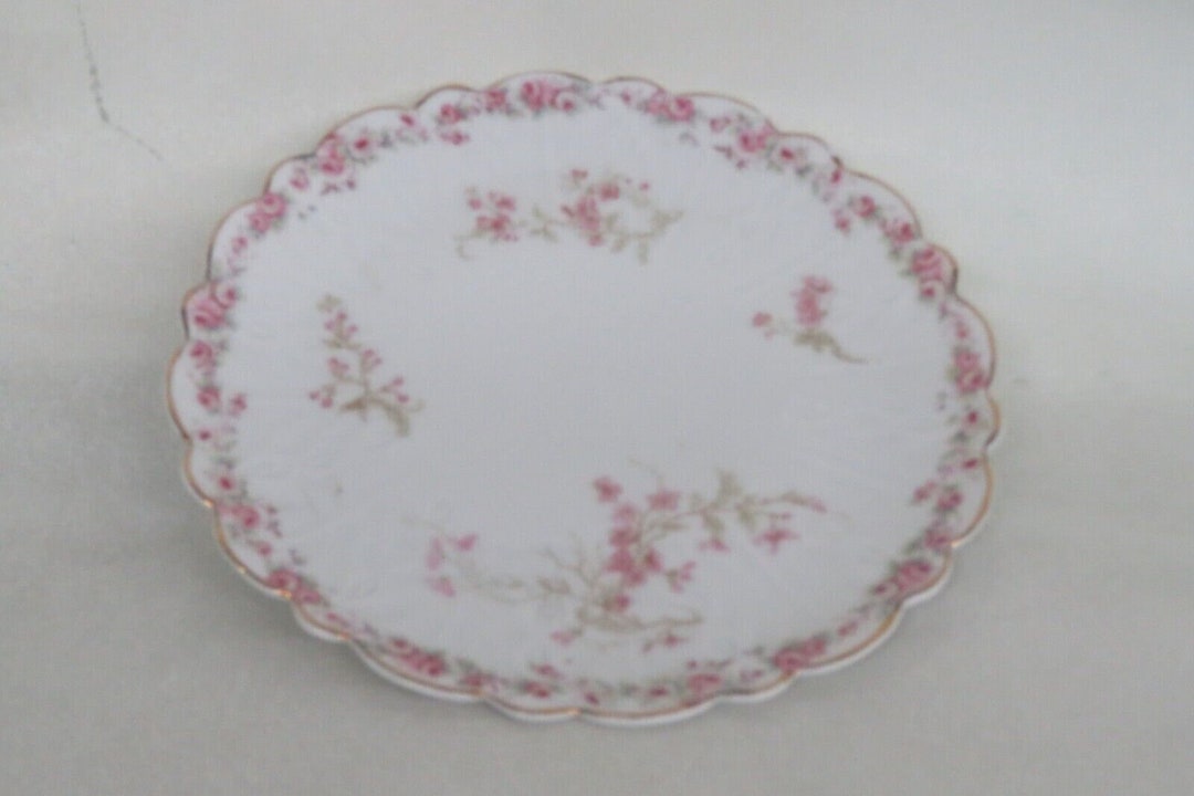 Merkelsgrun Porcelain Factory Austria Pink Floral Design Small Plate ...