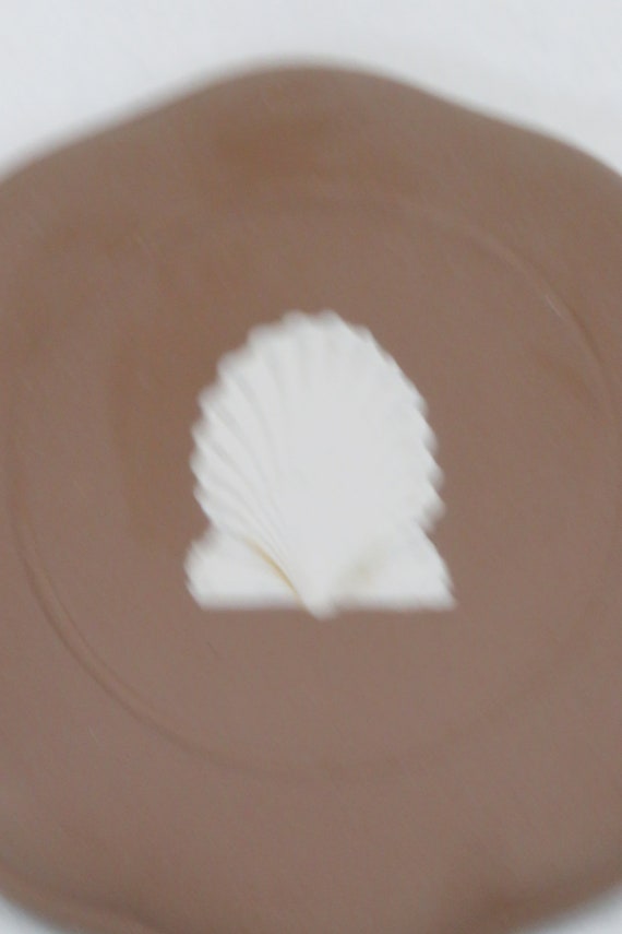 Wedgwood Jasperware Shell Scallop Edge Trinket Jewelr… - Gem