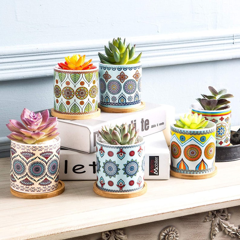 Mandala Succulent Planter Set 3 Inch Planters Set of 6 With - Etsy