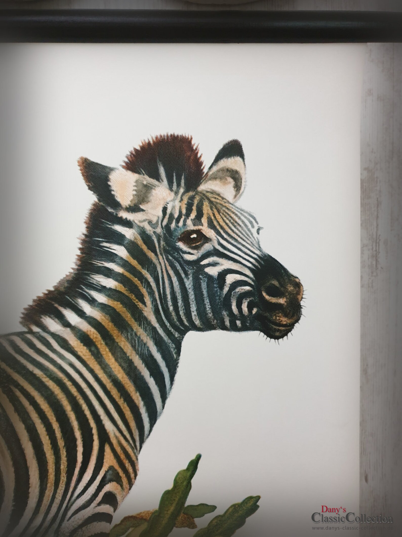 Vintage Teaching Chart "zebra" ~ School Chart ~ Mural Chart ~ Rolling ...