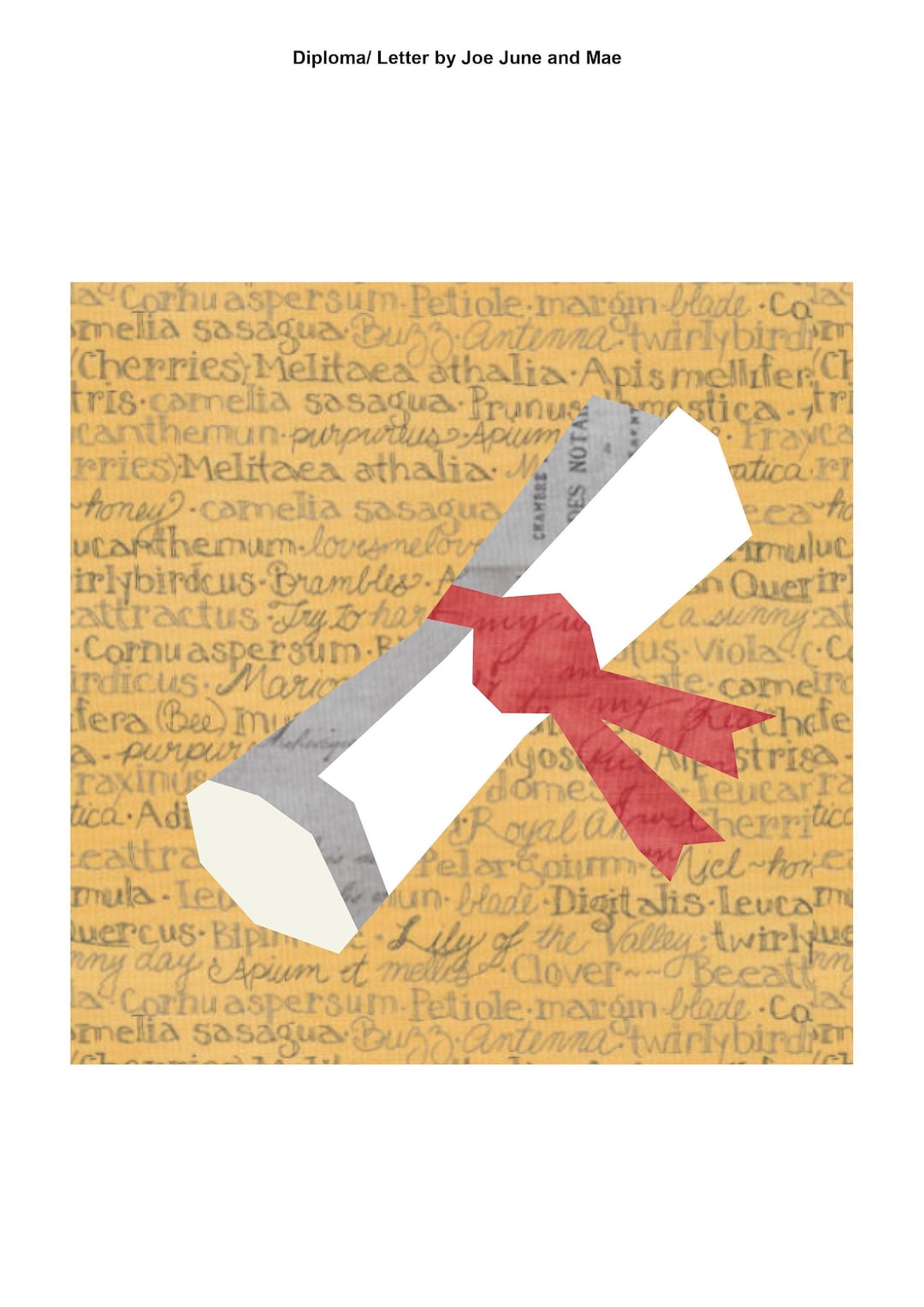 Graduation Diploma Quilt Block Pattern: Foundation Paper Piecing (PDF ...