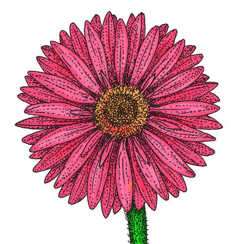 Gerber Daisy Cutter Set (12 Petal, 4 Sizes) - Etsy