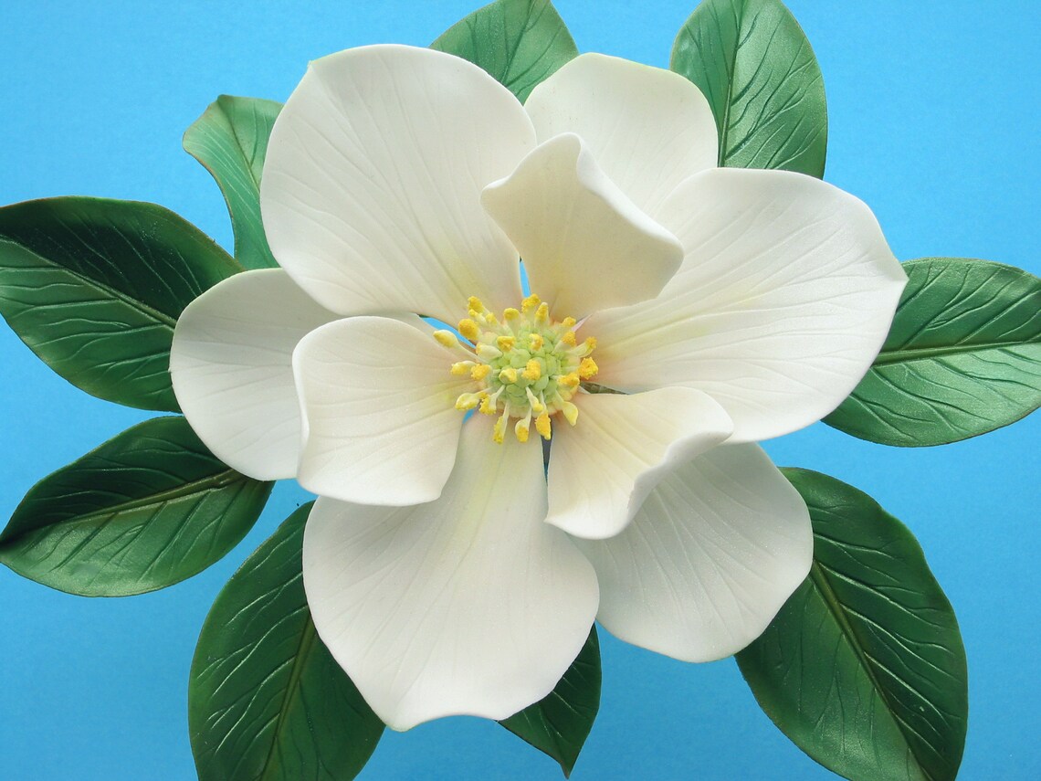 Southern Magnolia Petal Cutter Set (set of 4) - Etsy