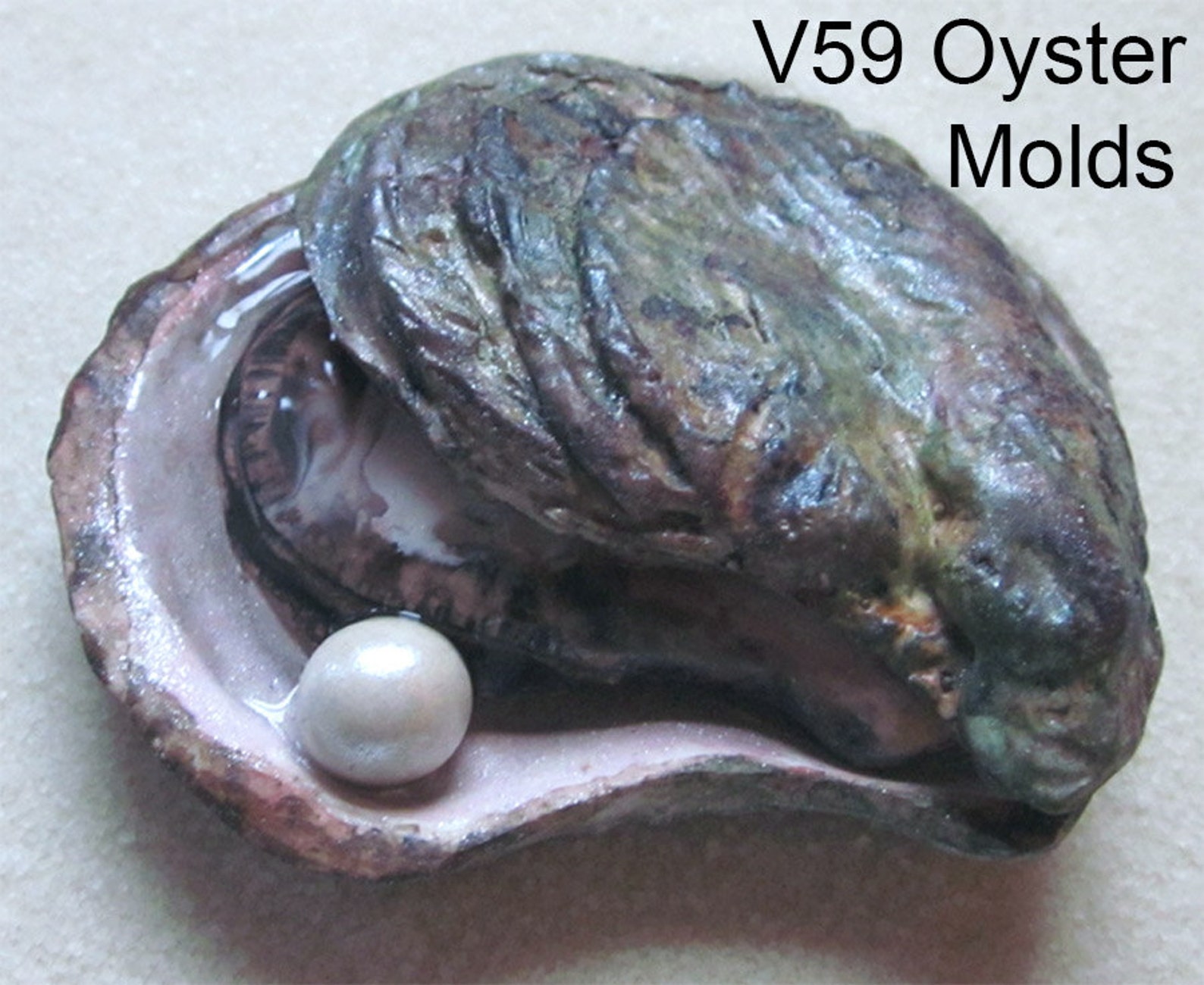 Oyster Shell Silicone Mold by Scott Clark Woolley - Etsy