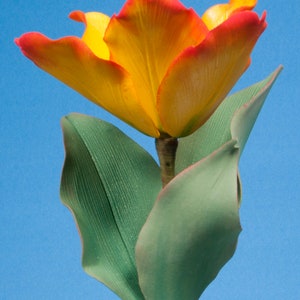 Common Tulip Petal Cutter Set (2 Sizes) - Etsy