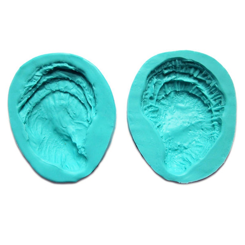 Shell Mold - Etsy