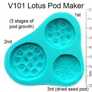 Lotus Pod Maker Silicone Mold (3 Stages) - Etsy