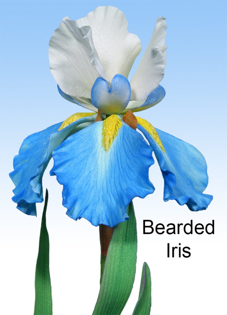 Bearded Iris Cutter (set of 3) - Etsy
