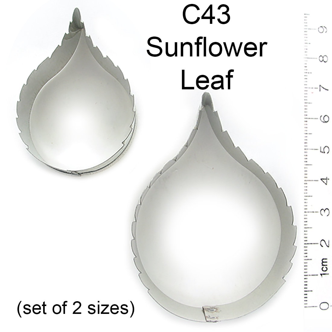 Sunflower Leaf Template