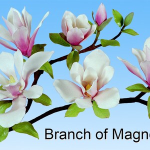Northern Magnolia Cutters (set of 3) - Etsy